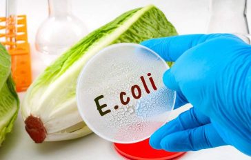 E. coli Symptoms; 14 Warning Signs & Symptoms of E. coli - Healthella